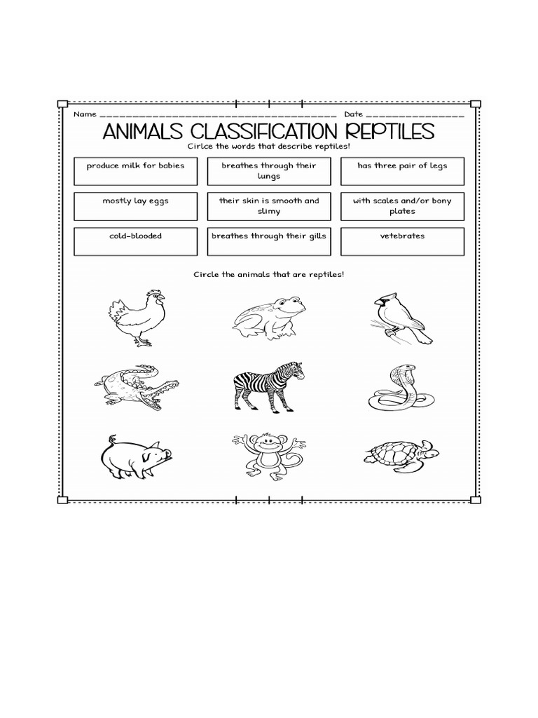Animal Classification Worksheet - 154012.jpg | PDF
