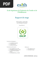 Organigramme Et Filiales de OCP | PDF