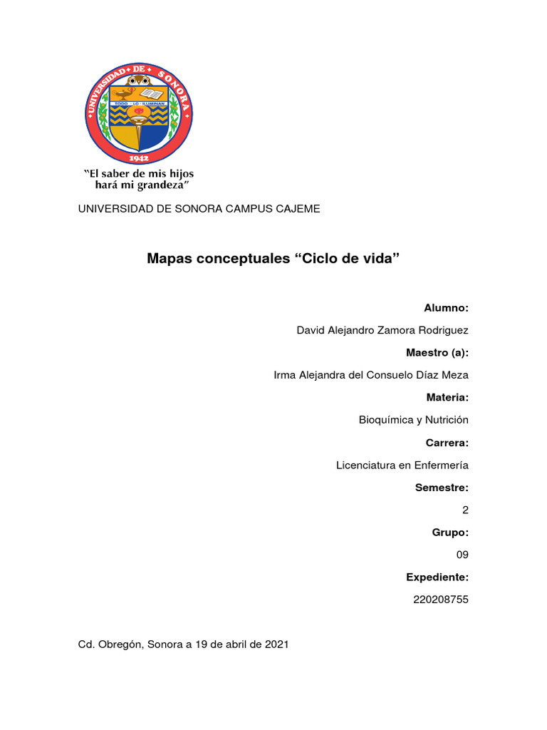PDF de Los Mapas Conceptuales de Los Ciclos de Vida David Zamora | PDF | Pecho | Lactancia