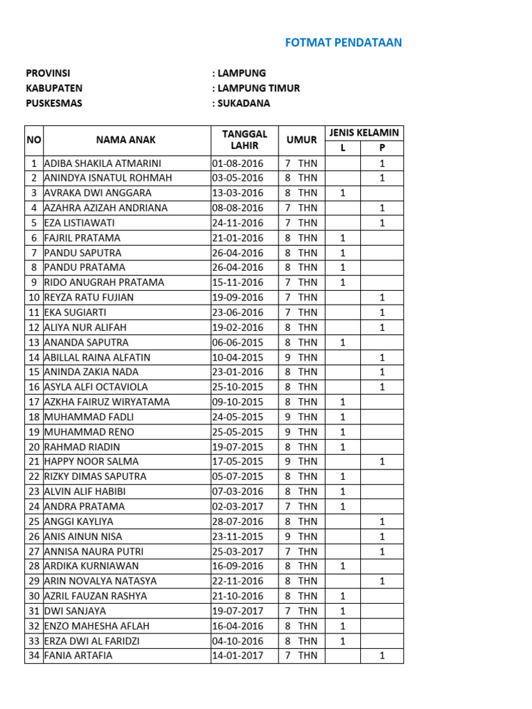 Format Pendataan Sasaran | PDF | Perjalanan