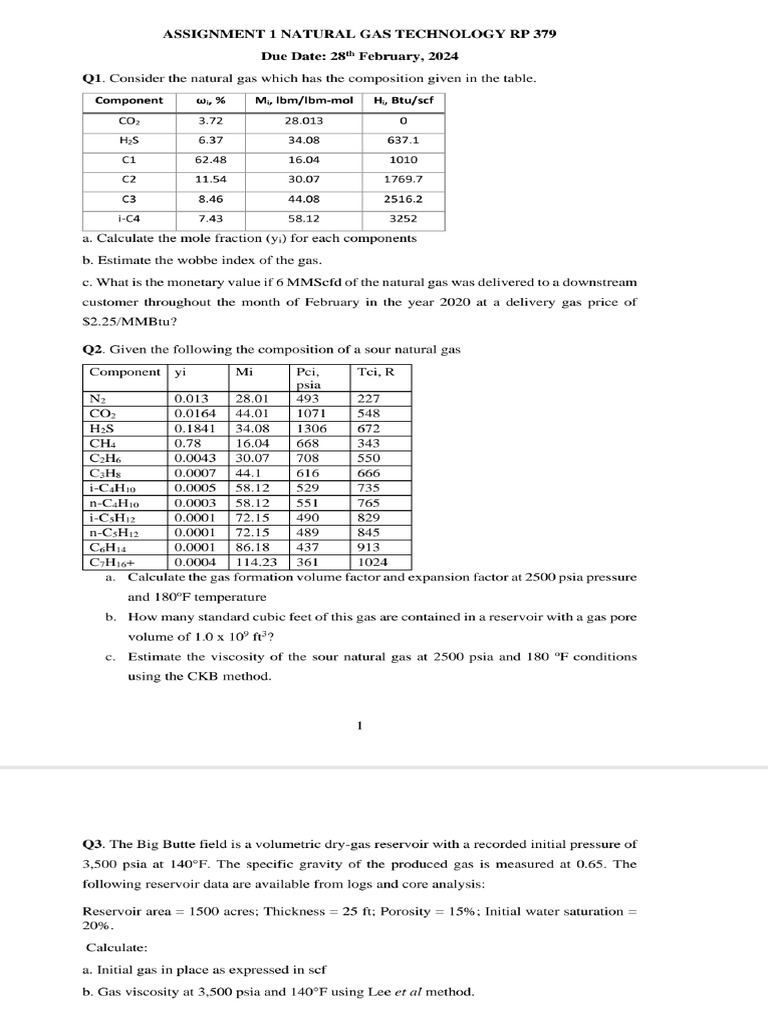 Natural Gas Assignment 1 Compiled | PDF
