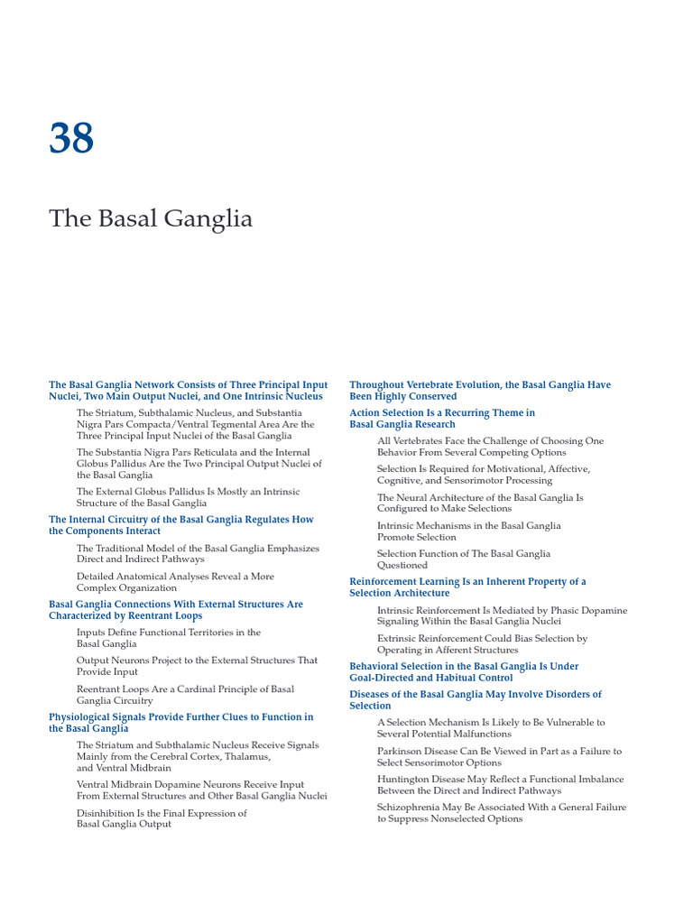 Kandel-Núcleos Da Base | PDF | Basal Ganglia | Striatum