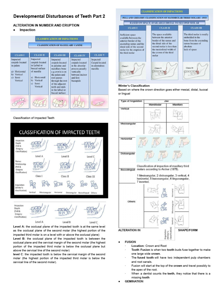 Developmental Disturbances of Teeth Part 2 | PDF | Human Tooth | Dental ...