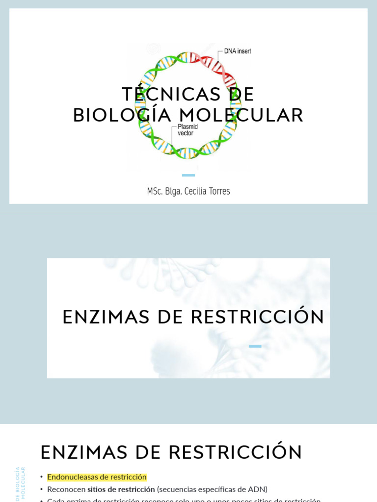 2 - Tecnicas de Biologia Molecular | PDF | Secuencia ADN | Reacción en cadena de la polimerasa