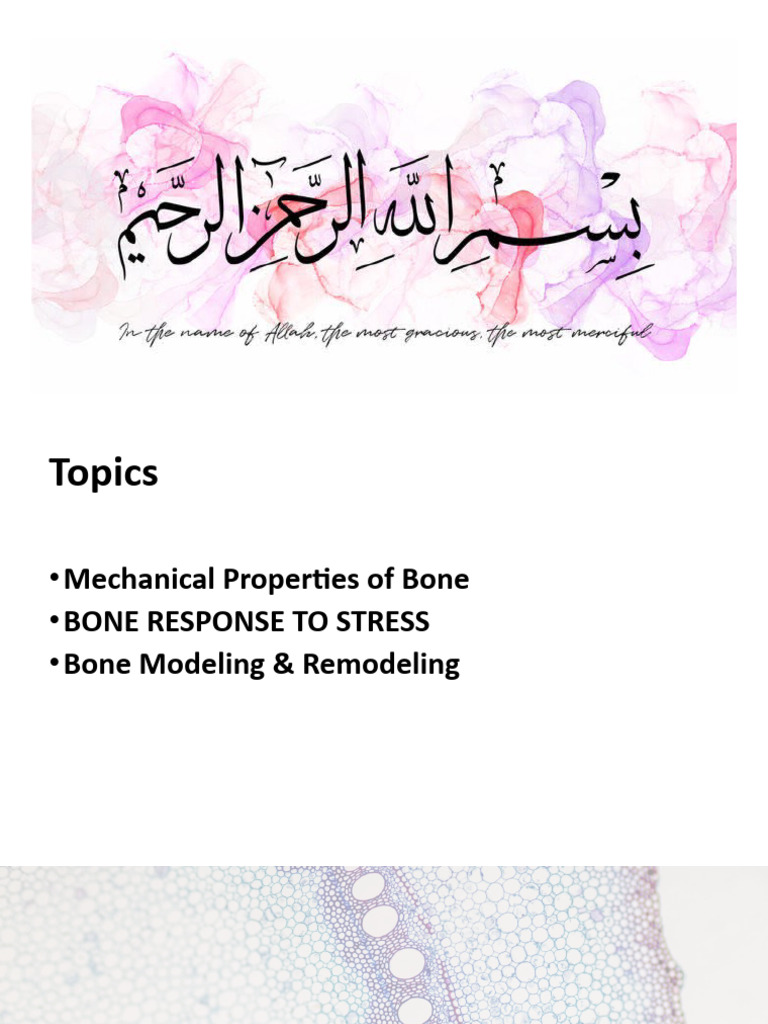 Bone Response To Stress | PDF | Osteoporosis | Bone