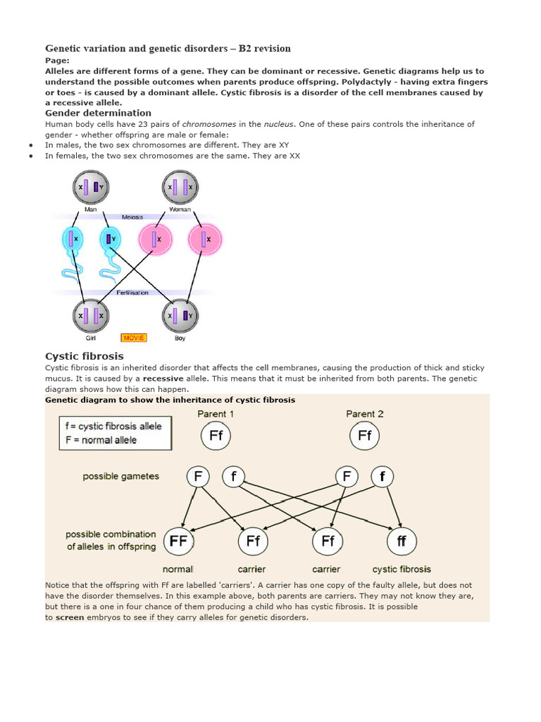 Genetic Variation and Genetic Disorders - B2 Revision | PDF | Dominance (Genetics) | Zygosity