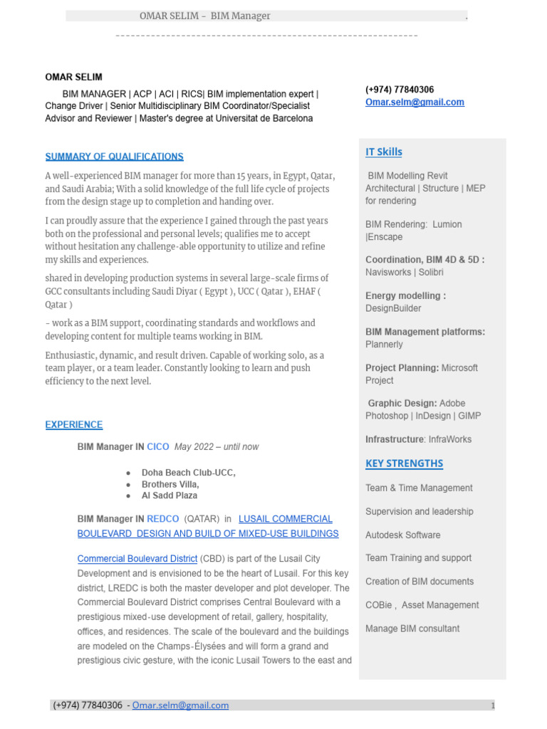 Experienced BIM Manager Profile | PDF | Building Information Modeling ...
