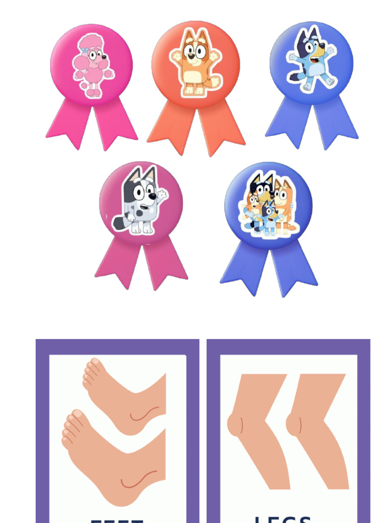 Printables Parts of The Body and Bluey Medals | PDF
