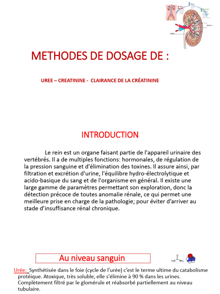 Dosage Urée et Créatinine Rénale | PDF | Créatinine | Urine