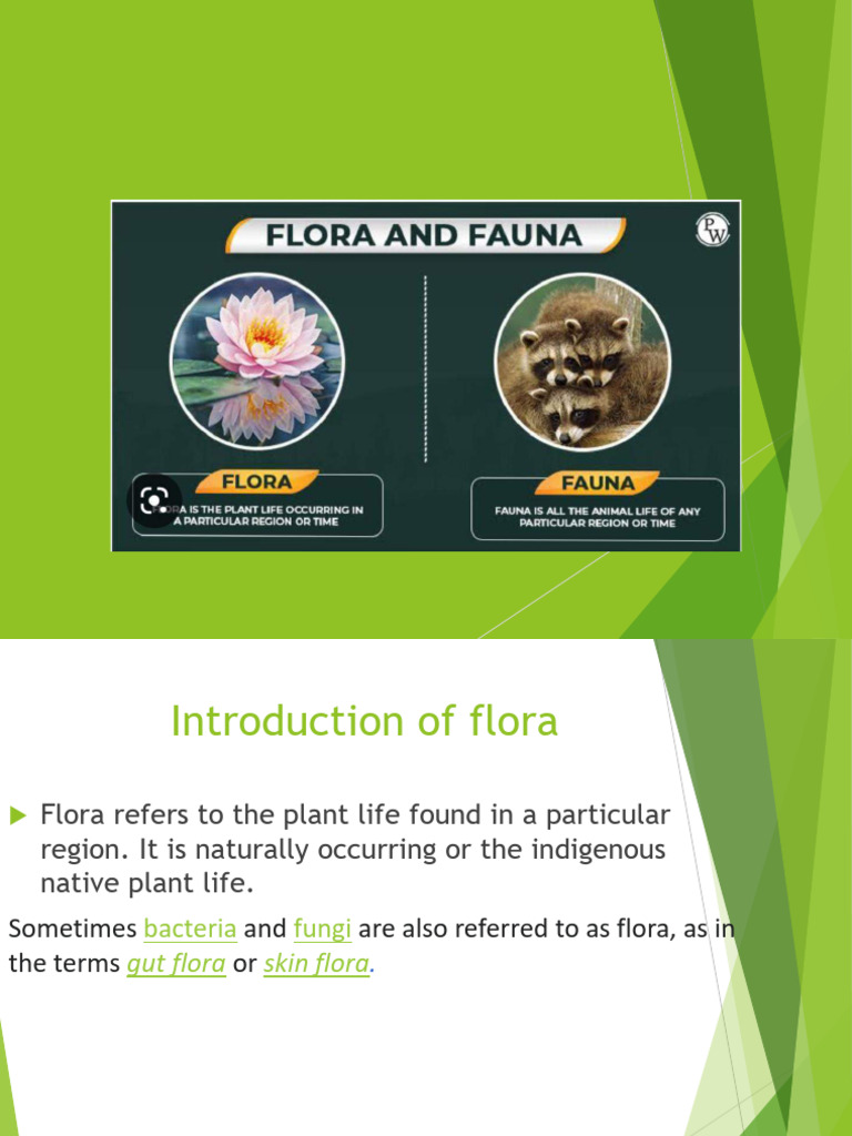 Presentation Flora Fauna - Final-Compressed | PDF | Fauna | Basil