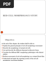 Red Blood Cell Morphology Guide | PDF | Anemia | Red Blood Cell