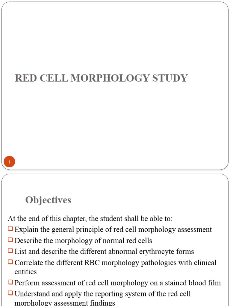 4. RBC morphology study | Download Free PDF | Anemia | Red Blood Cell