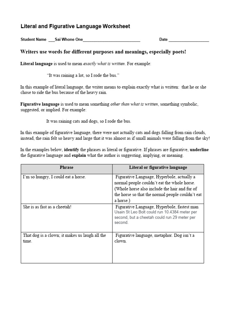 Literal vs Figurative Language Worksheet | PDF