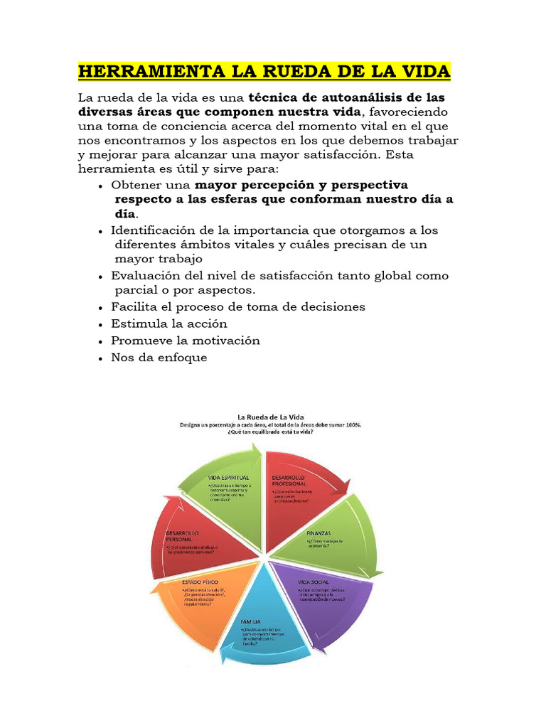 EJERCICIO LA RUEDA DE LA VIDA | PDF