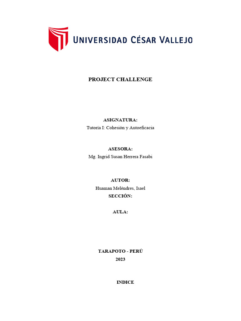 Proyecto Challenge 14 | PDF | Cognición