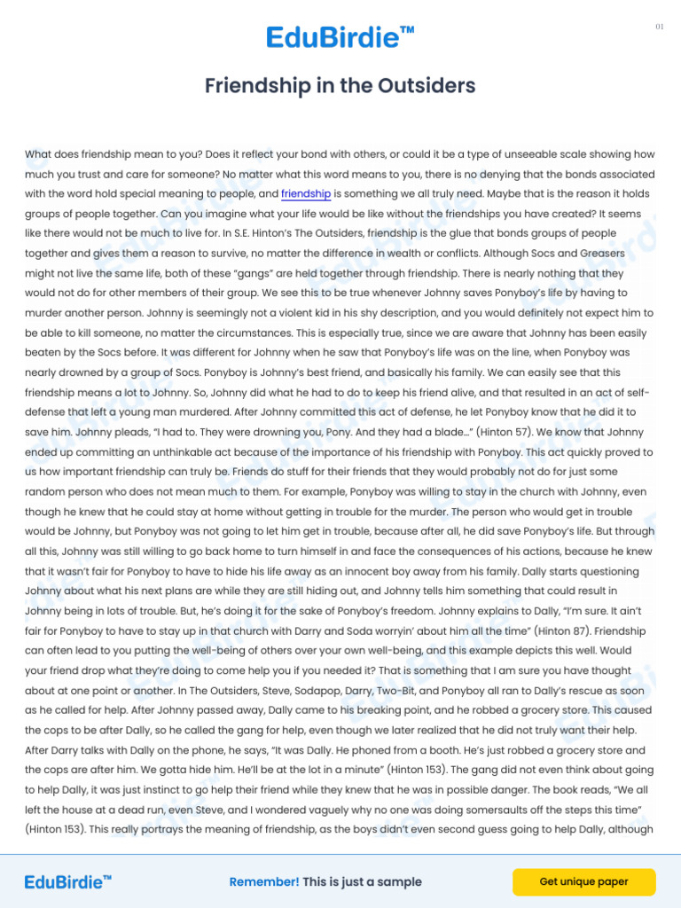 Friendship in The Outsiders | PDF