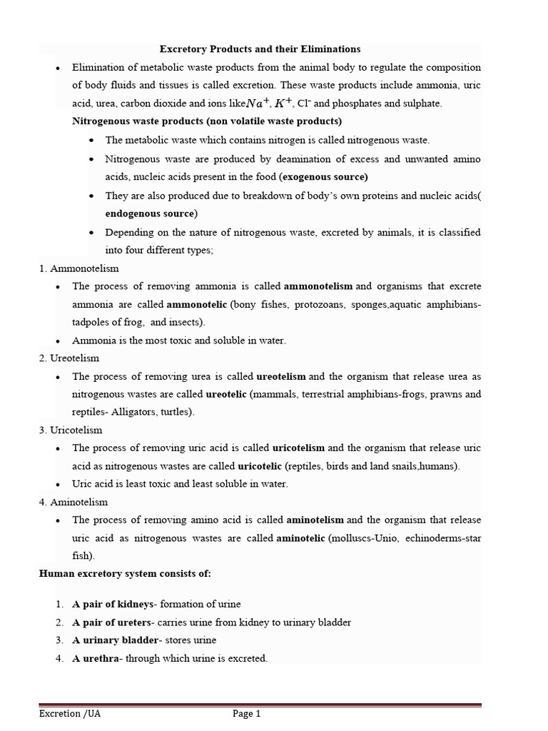 Excretion Note | PDF | Hemodialysis | Kidney