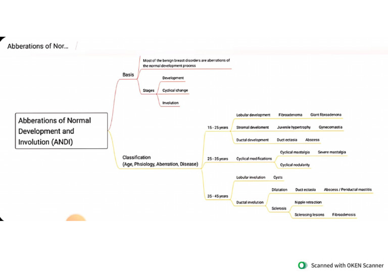 Andi Classification Pdf