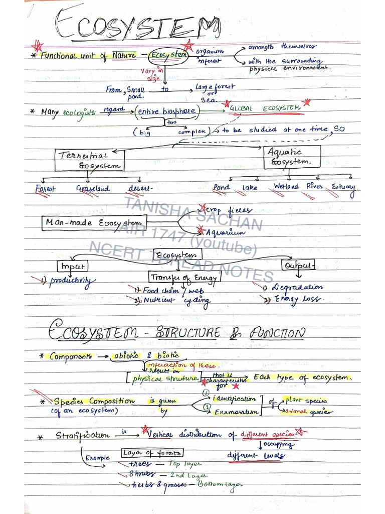 Ecosystem Ncert Thread Notes | PDF