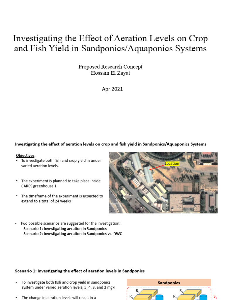 Aeration Impact on Sandponics Yield | PDF | Science & Mathematics