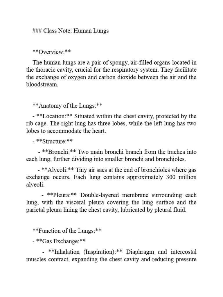 Human Lungs | PDF | Lung | Breathing