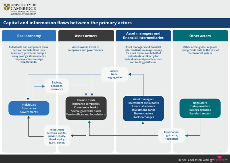 M1 - Interactive Infographic - Capital Flow | PDF | Investing | Wealth