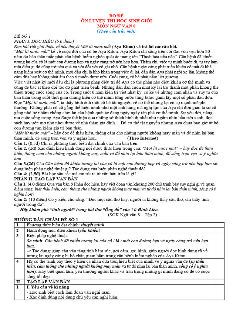 BỘ ĐỀ HSG VAN 8 | PDF