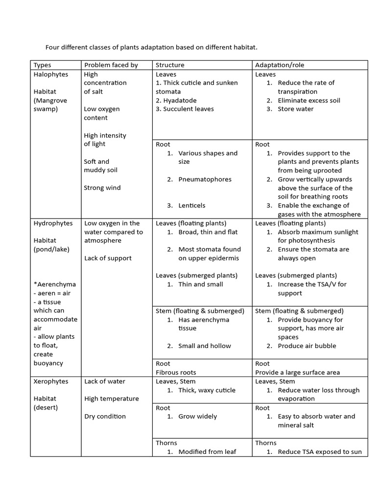 Adaptation of Plants | PDF | Leaf | Plants