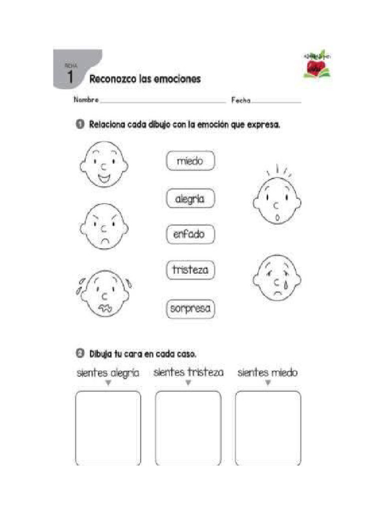 Libro Emociones Pdf