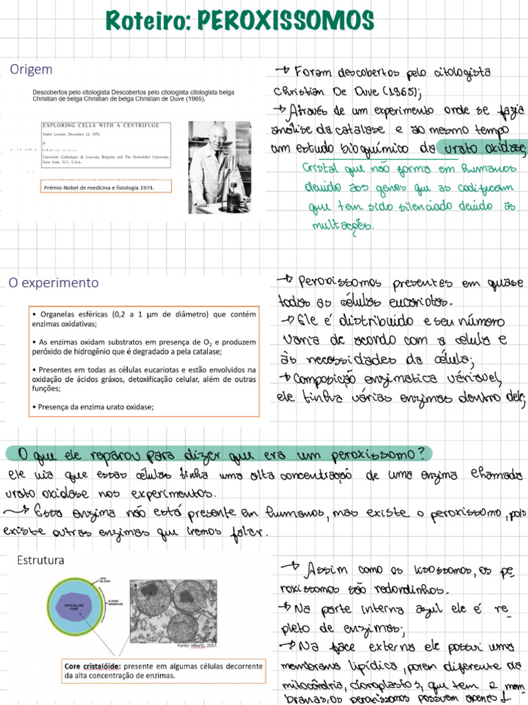 Funções e Estrutura dos Peroxissomos | PDF | Metabolismo | Anatomia celular