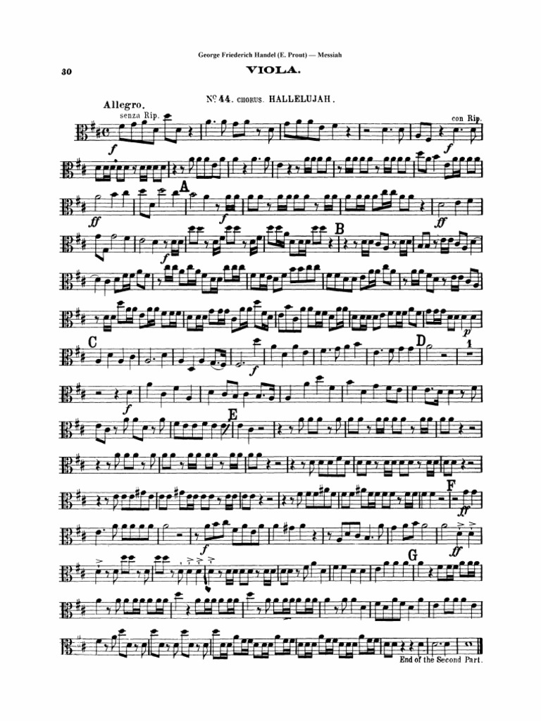 Viola | PDF