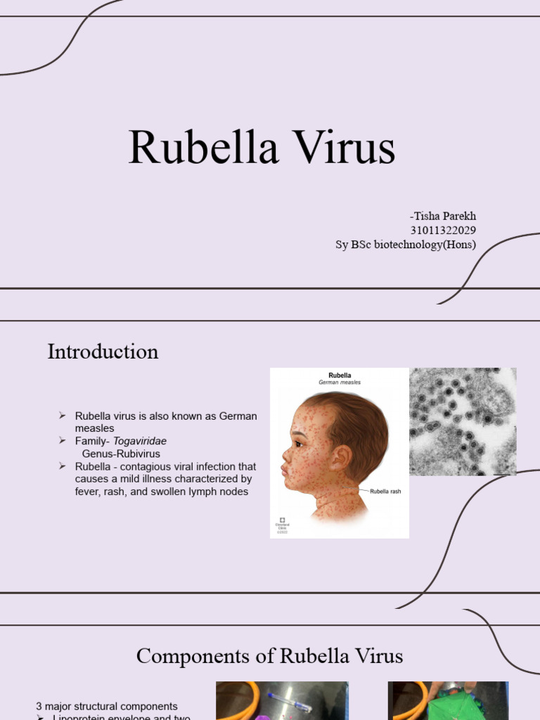 Rubella Virus-29 | PDF | Virus | Microbiology