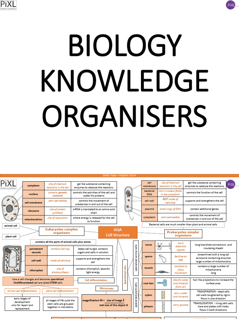 GCSE Biology Knowledge Organiser | PDF | Cell (Biology) | Heart