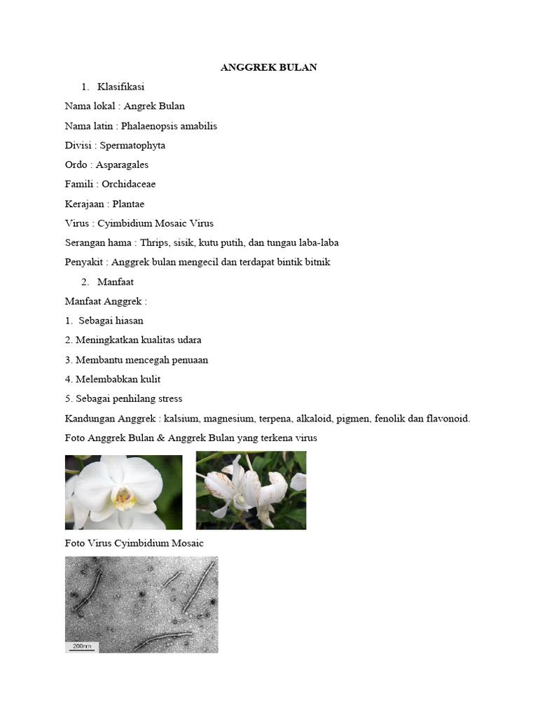 Biodas (Kelompok Bunga) | PDF