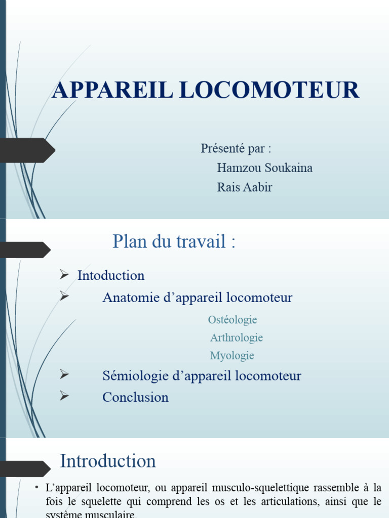 Anatomie et Sémiologie de l'Appareil Locomoteur | PDF | Articulation ...