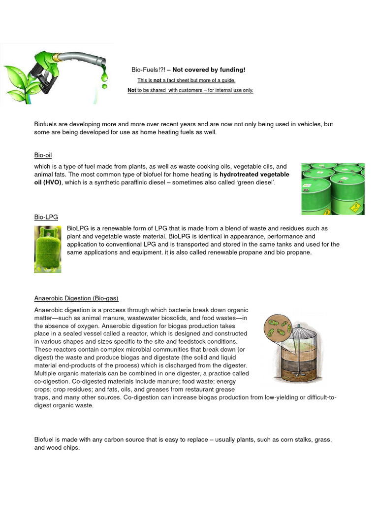 Biofuels Guide | PDF | Biofuel | Anaerobic Digestion