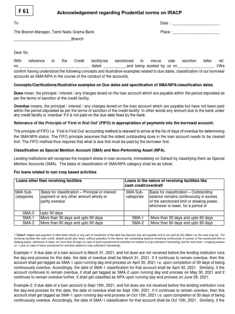 Loan Classification Guidelines | PDF | Loans | Line Of Credit
