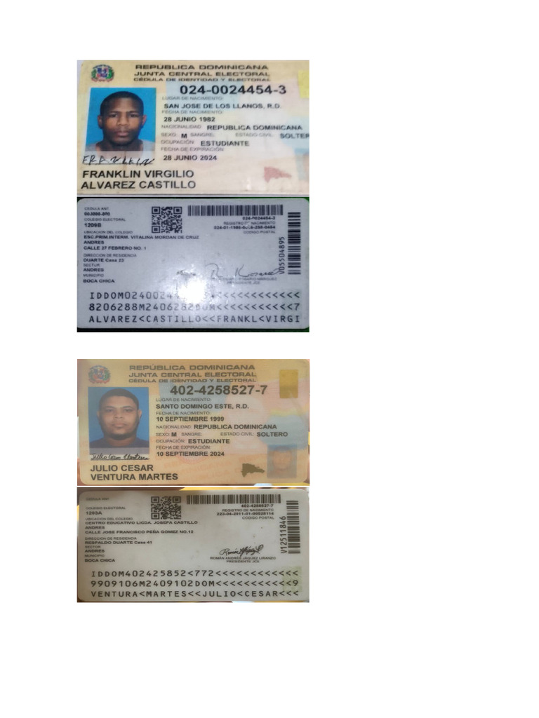 CEDULAS DECLARACION JURADA TIA | PDF