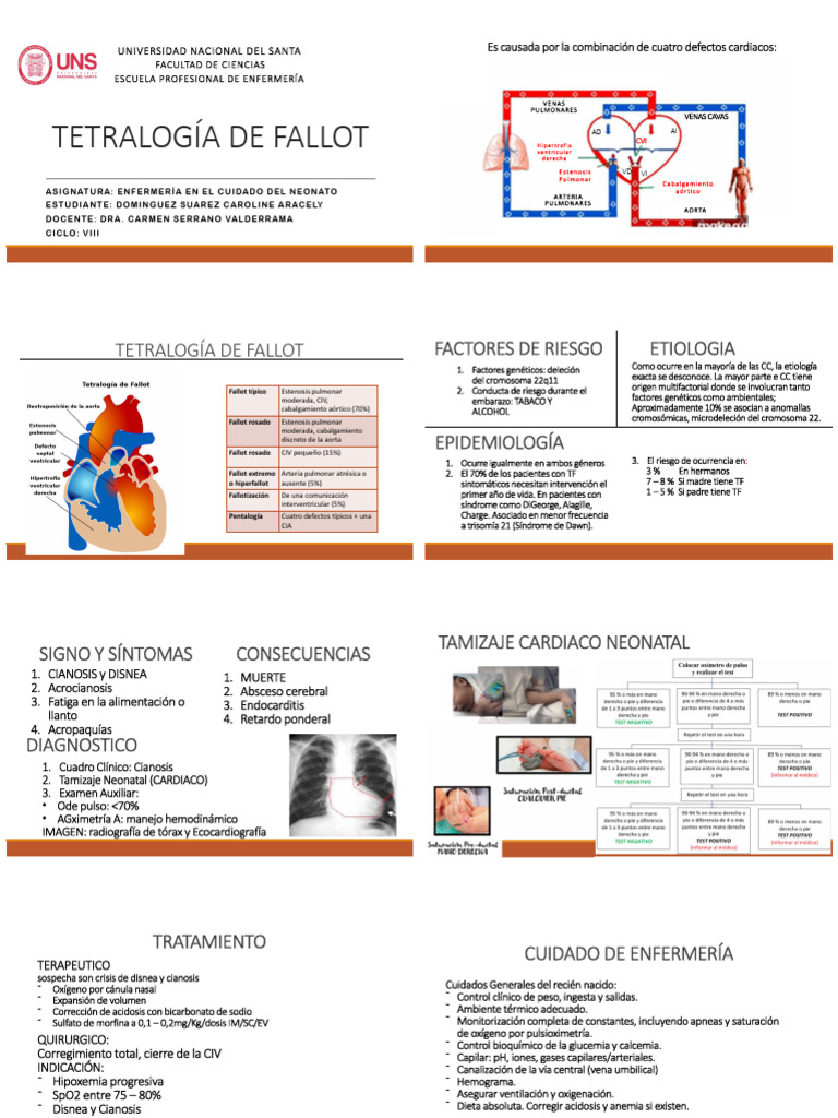 N-Up-Pdf - 4 Tetralogia de Fallott. Carmen | PDF | Síndrome de Down ...