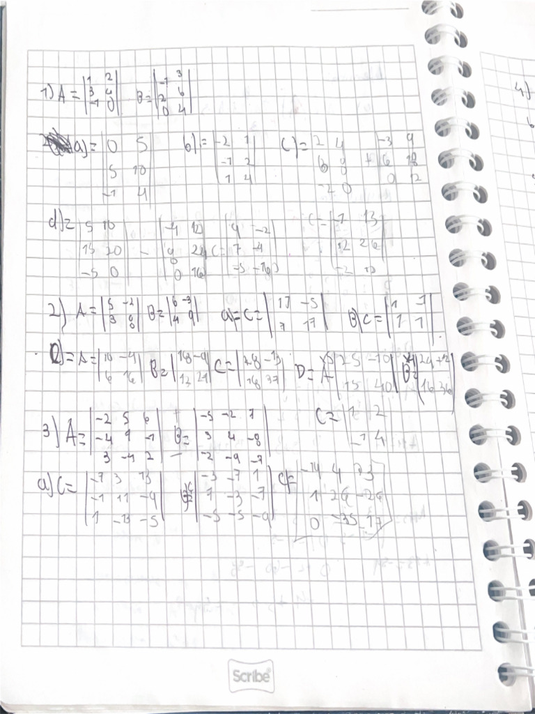 Tarea 3 Alg Matric | PDF