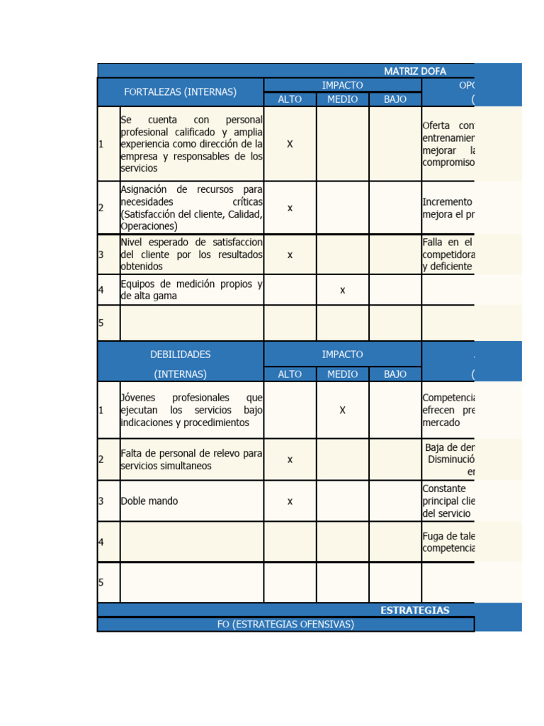 Matriz Dofa | PDF | Business | Mercado (economía)