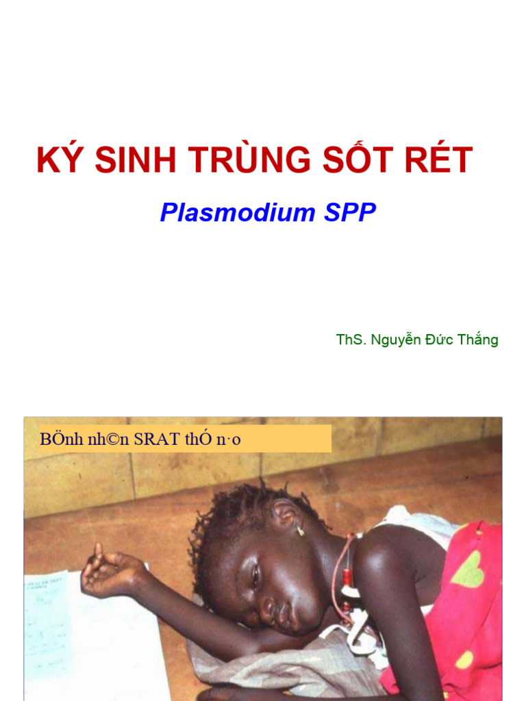 KST Sot Ret | PDF