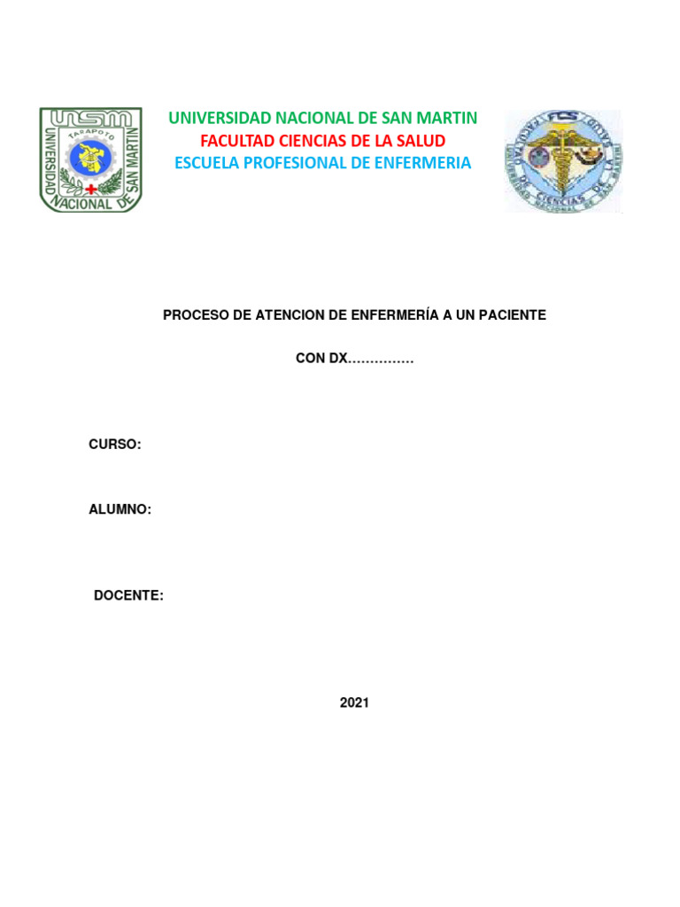 Modelo Pae | PDF | Enfermería | Cuidado de la salud