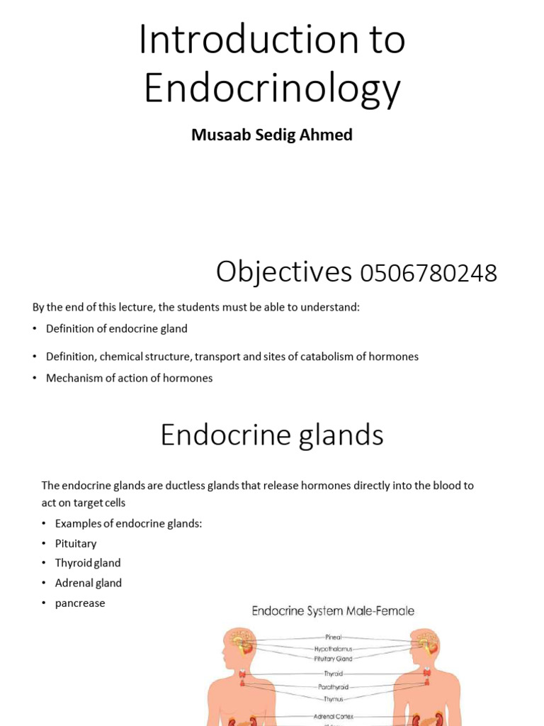 Introduction to Endocrinology Basics | PDF | Endocrine System | Hormone