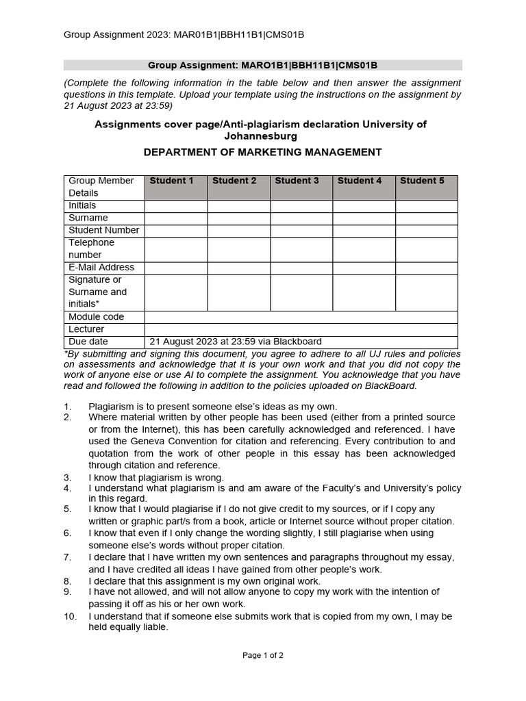 Marketing 1B Group Assignment_template(1) | Download Free PDF ...
