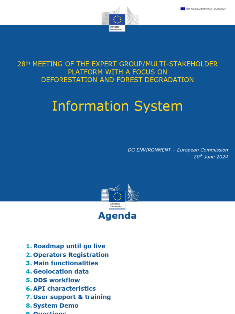 4.a EUDR IS 28th Meeting | PDF | Web Service | User (Computing)
