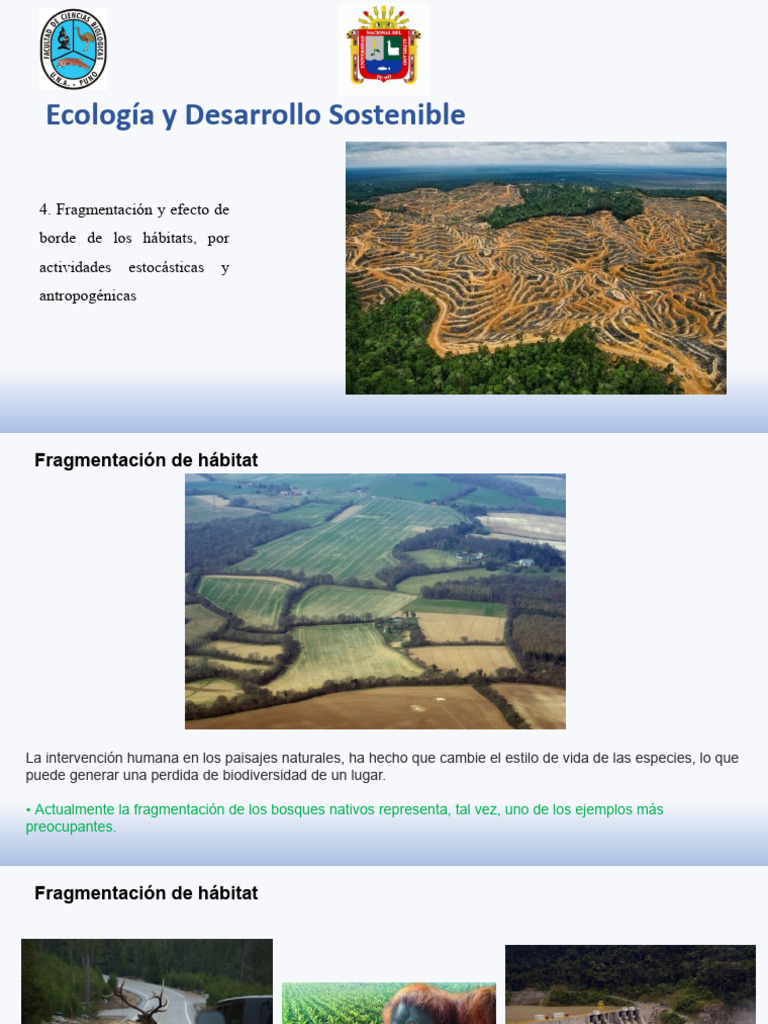Semana 4. Fragmentación y Efecto de Borde de Los Hábitats, Por Actividades Estocásticas y ...