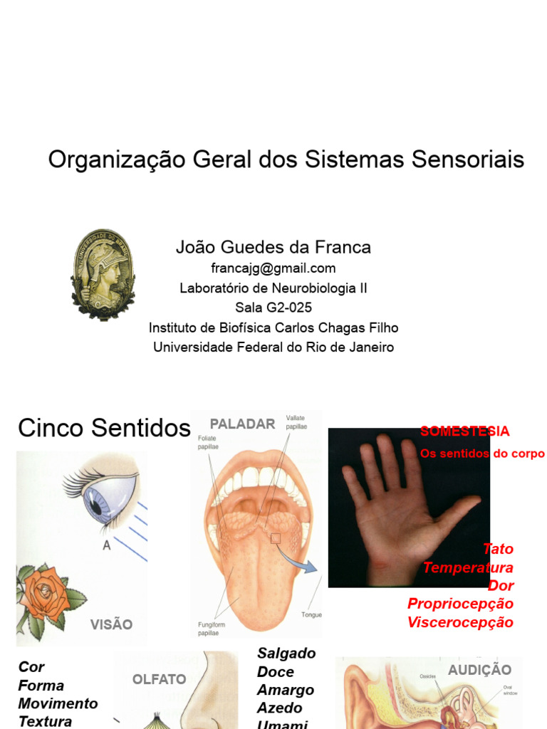 T10-11-12 - Sist sensoriais + somestesia - 10-13abr18 | PDF | Estímulo ...