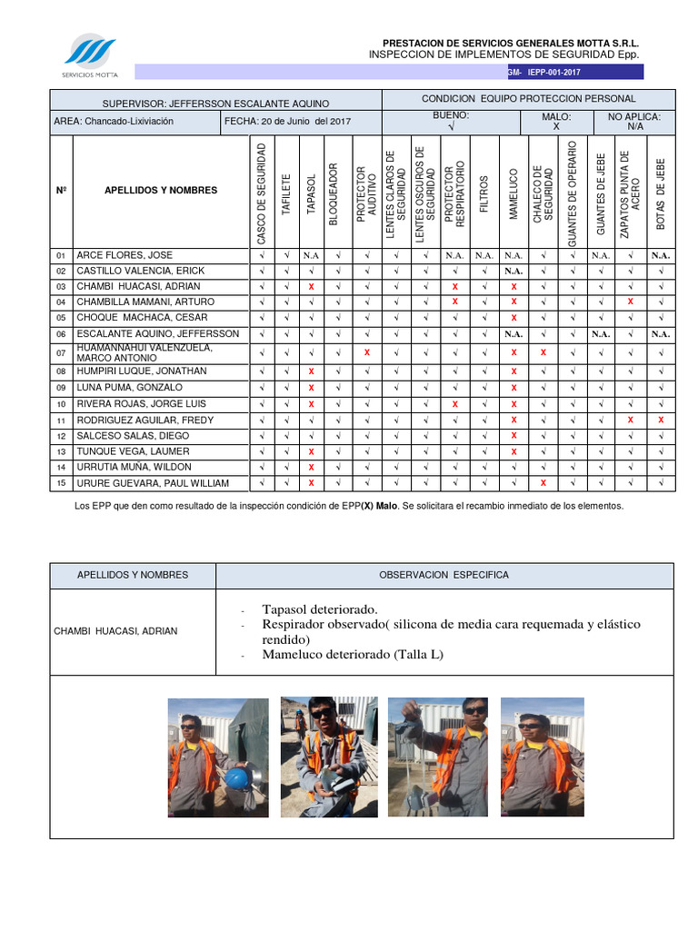 6.-INSPECCION_EPP- 2017 - 06 | PDF