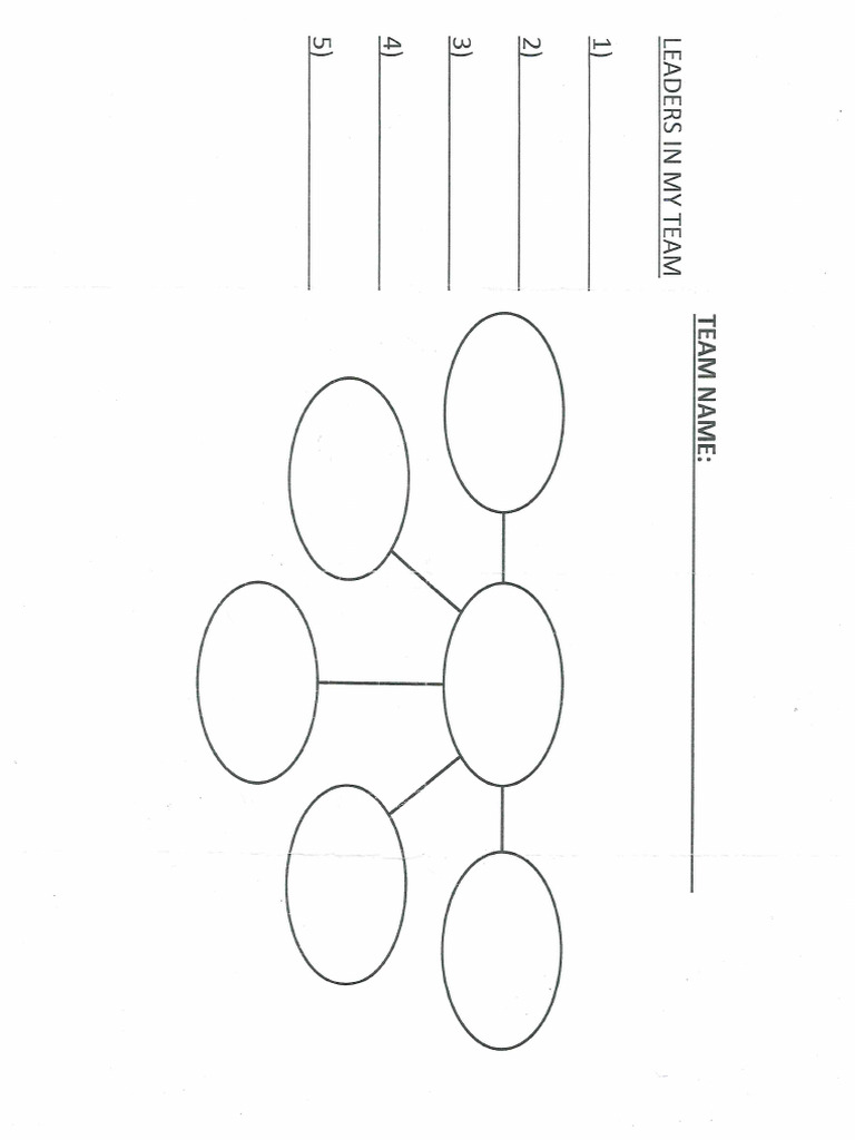 Spider Charts Leader | PDF